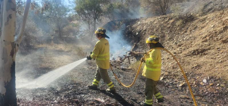 ! Murcia Today - Watch: Costa Del Sol Forest Fire Forces Mass ...